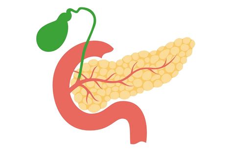「胆のう・膵臓疾患の内科的治療」について｜市立貝塚病院