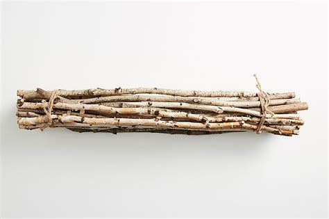 Would you pay $42 for this trendy bundle of sticks?