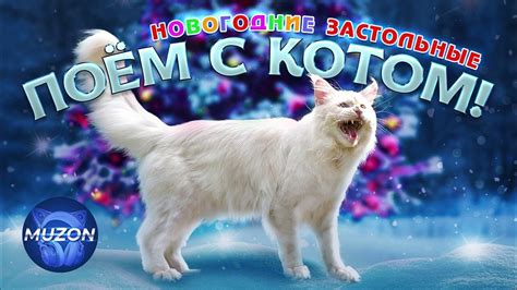 Поем с котом Новогодние застольные Новая песня Инны Вальтер Youtube