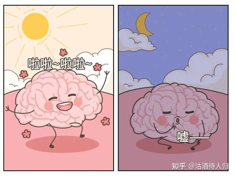 倒头就睡的人，到底是怎么做到的？ 知乎