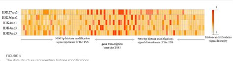 Figure 1 From Predicting Gene Expression From Histone Modifications
