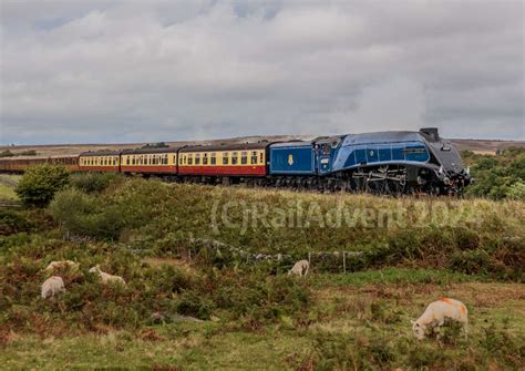 60007 Sir Nigel Gresley Passes Moorgates North Yorkshire Moors Railway