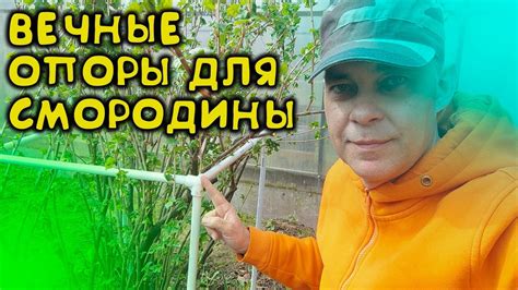 УСТАНОВКА ВЕЧНЫХ ОПОР НА СТАРЫЙ КУСТ СМОРОДИНЫ КАК СДЕЛАТЬ ОПОРЫ ДЛЯ СМОРОДИНЫ СВОИМИ РУКАМИ