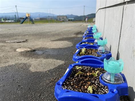 米沢市立塩井小学校 公式ブログ 地区運動会がんばろう
