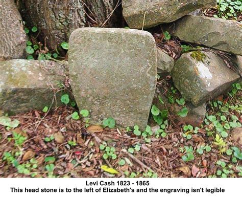 Pictures Of Levi Cash