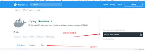 docker安装mysql，redis docker link mysql redis csdn博客