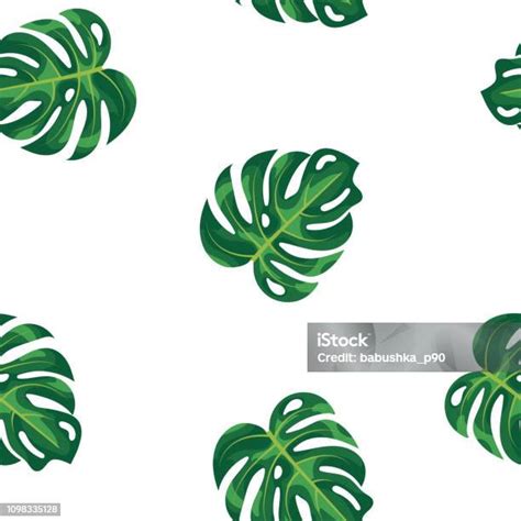 패턴 녹색 흰색 바탕에 열 대 식물과 나무의 나뭇잎 녹색 단풍 Monstera 트리 원활한 패턴 배경입니다 이국적인 열 대 우림