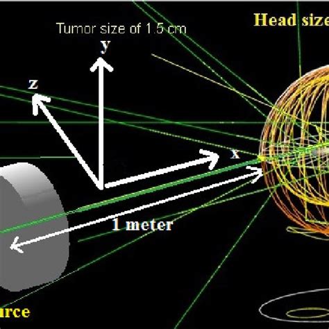 Monte Carlo Simulation Of X Ray Radiation Beam Interaction With A Human