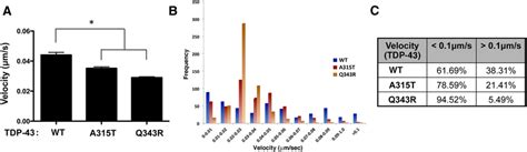 Als Linked Tdp 43 Mutations Exhibit A Higher Proportion Of Slower