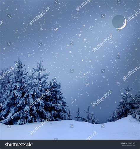 Beautiful Winter Landscape With Snow Covered Trees At Night Stock Photo 176482967 Shutterstock