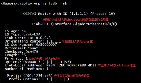 路由 OSPFv3 Data Communication Cisco Huawei 极客文档