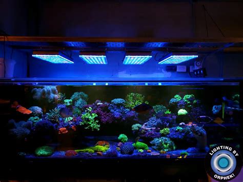LED Lighting For Public Aquarium Orphek