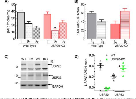 Figure 1 From The Deubiquitinase Ubiquitinspecific Protease 20 Is A