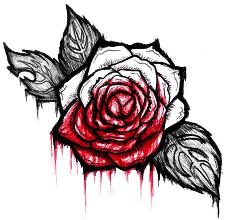 Bleeding White Rose Drawing