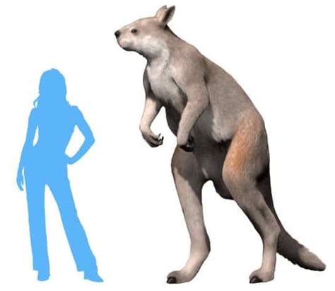 Procoptodon Imp World