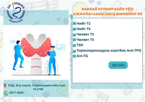 Цу Эрдэнэ ЭРҮҮЛ МЭНД ЭРХЭМ БАЯН Бамбай булчирхай нь хүний биед