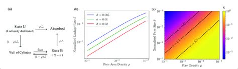 Approximate Analytic Model For Leakage From Pores In A Cylindrical Download Scientific Diagram