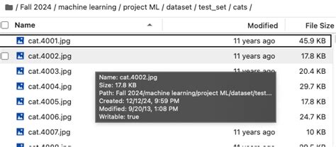 Image Classification Using Cnn Cnns Supervised Machine Learning