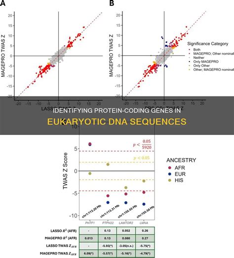 identifying protein coding genes in eukaryotic dna sequences medshun