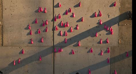 Mary Eileen Barber Washington Life Magazine