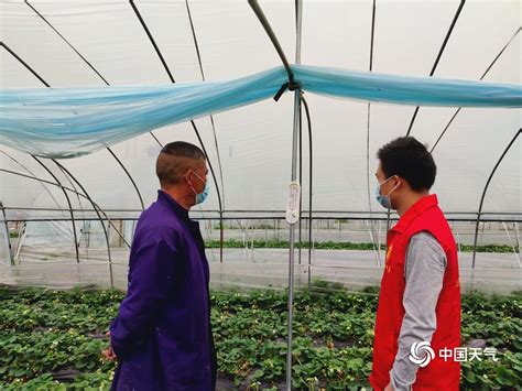 湖南安乡气象人下乡送服务 抗疫保春耕 天气图集 中国天气网