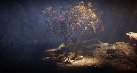 Whats D5 Render And Why Choose It