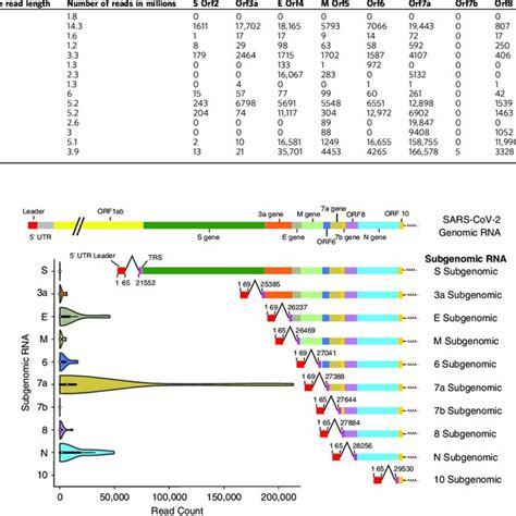 Showing The Number Of Ngs Reads Per 5 Mill Reads Mapped To Control Download Scientific