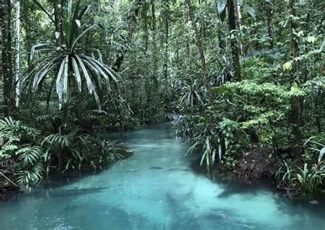 Kali Biru Destinasi Wisata Alam Di Raja Ampat Yang Bagaikan Surga