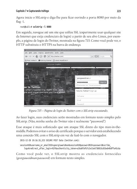 Testes De Invasão Uma Introdução Prática Ao Hacking Georgia Weidman Jogo 0 Page 222 Flip