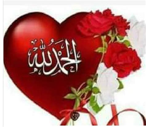 Noor Raza Posted On Linkedin