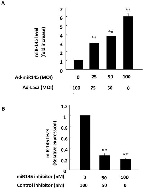 Quantitative Real Time Pcr Revealed That The Expression Levels Of