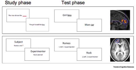 Chapter False Memory Flashcards Quizlet