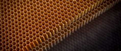 Honeycomb The Gill Corporation