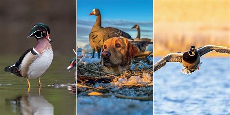 Что такое эскапизм и почему мы бежим от проблем — Лайфхакер