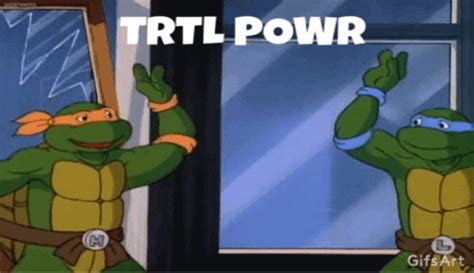 Trtl Powr Album On Imgur