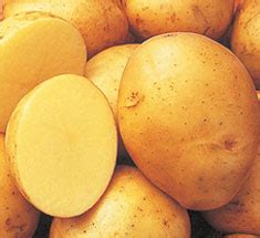 All About Potatoes Information And Potato Facts Gurneys