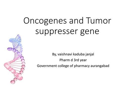 Oncogenes Proto Oncogenes And Tumor Suppressor Gene Pptx