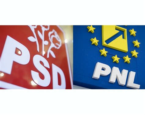 Primarul oraşului Sânnicolau Mare județul Timiș ales pe listele PNL
