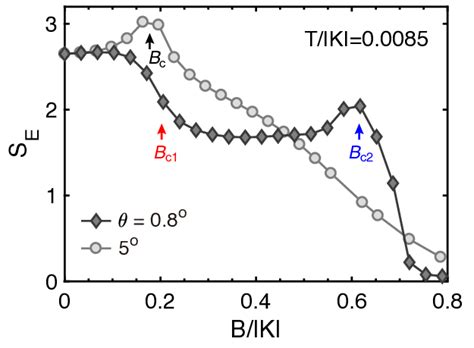 Fig A2 The Bipartite MPO Entanglement Entropies S E Under Various