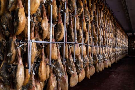 El Fascinante Proceso De Curación Del Jamón Ibérico De Bellota