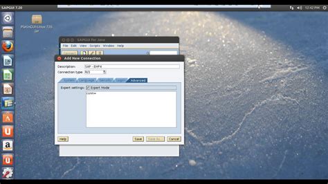 Como Instalar SAP GUI No Linux Ubuntu YouTube
