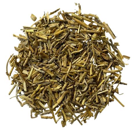 Couch Grass Dog Grass Herbal Sense Life — A Herbal Lifestyle