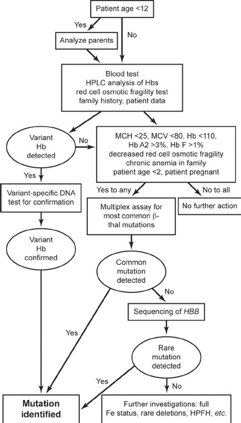 Flow Chart Of The Diagnostic Algorithm For Identifica Tion Of Download Scientific Diagram