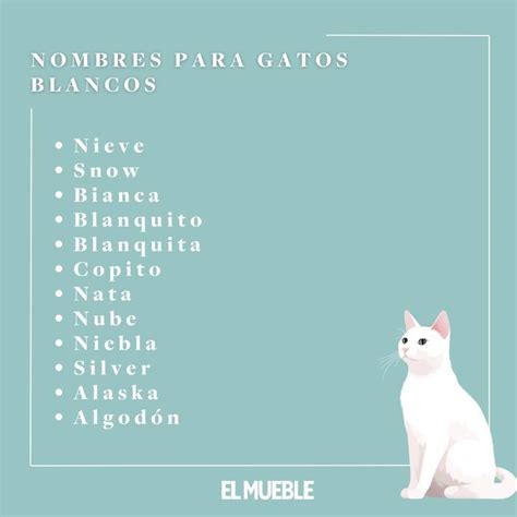 Nombres Para Gatos Machos Originales Nombres Para Gato