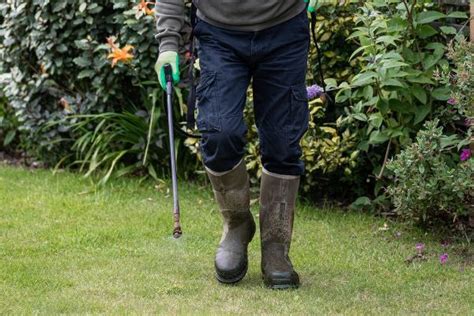 When To Start Mosquito Yard Treatment Eastern Turf Maintenance