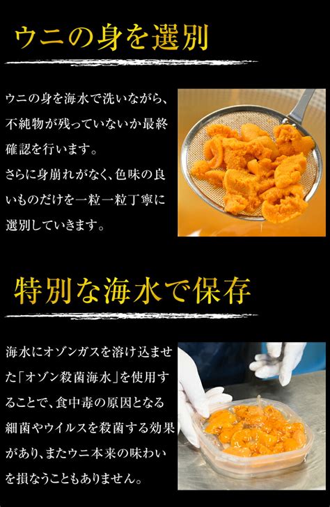 【楽天市場】1個購入から使える！最大6000円引きクーポン！！／ ウニ 塩水 無添加 【北海道産塩水生エゾバフンウニ100g】うに