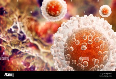 Horizontal Or Vertical Banner With Pathogenic Bacterias And Viruses Virus Under Microscope