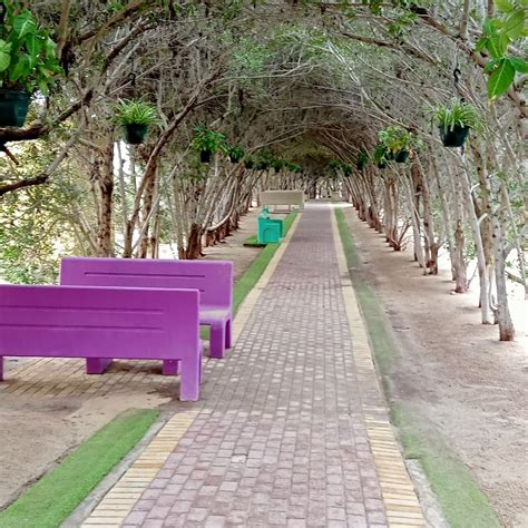 Mohammad Monirul Youtube