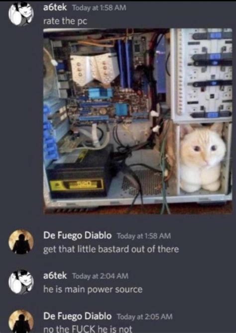 Ihaveihaveihavewunkus