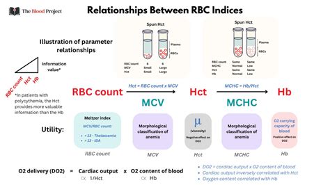 Relationship Between Rbc Indices • The Blood Project